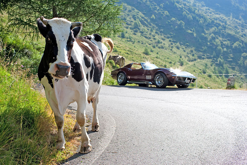 German Corvette Owner Drives the 10 Highest Roads in the Alps ...