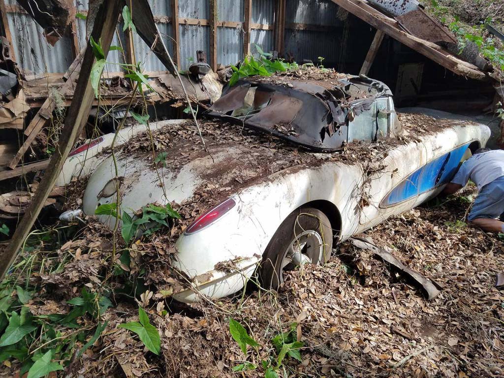 1959 Corvette Found Under the Remains of a Florida Lean-To Shed ...