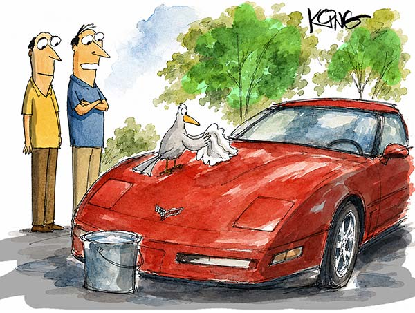 Saturday Morning Corvette Comic: Gamechanger! - Corvette: Sales, News ...